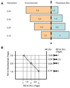 Retikulozyten-Reproduktionsindex (RPI) – Labor Enders