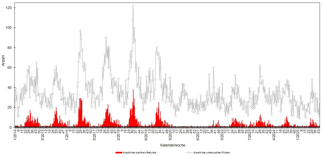 Daten zur Aktivität der Enteroviren – Labor Enders – Labor Enders